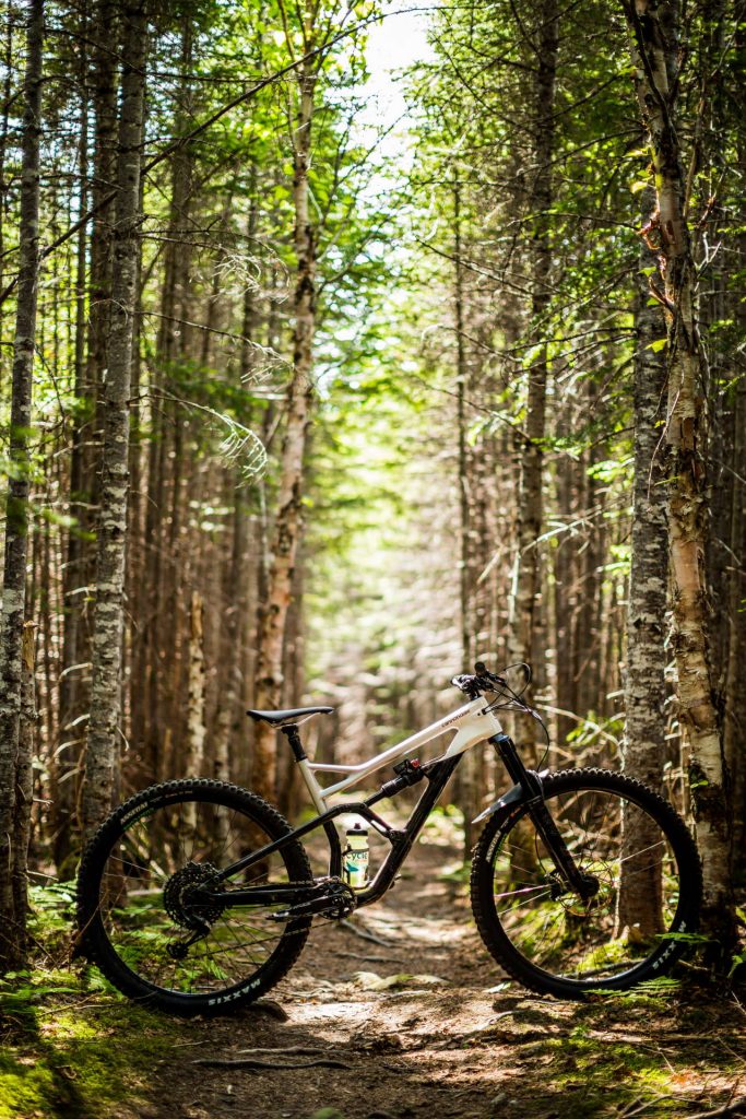 Ginger Route – Cycle Solutions